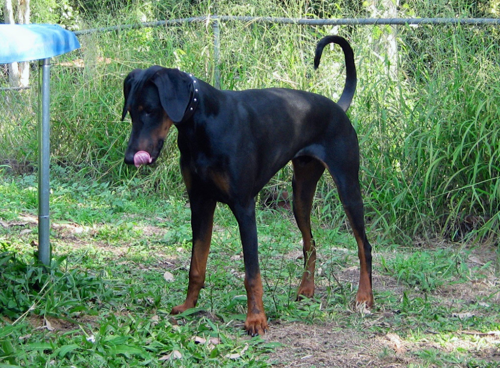 Page 1 of comments at All the time??