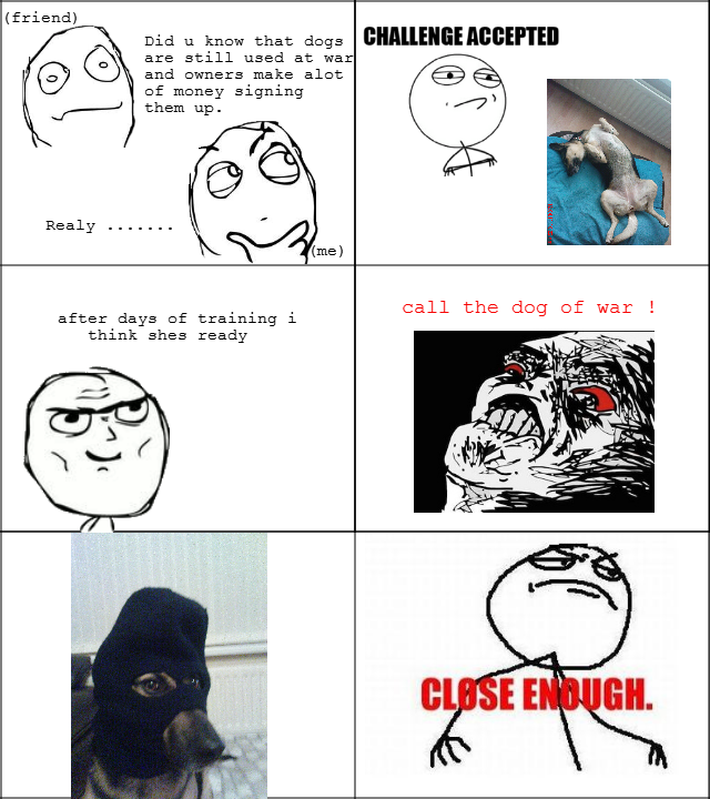Dog Cat War Memes