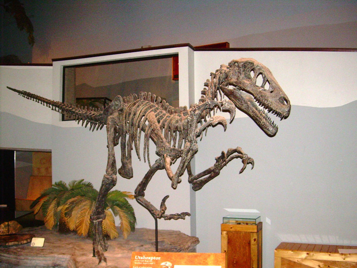 Facts About Utahraptor