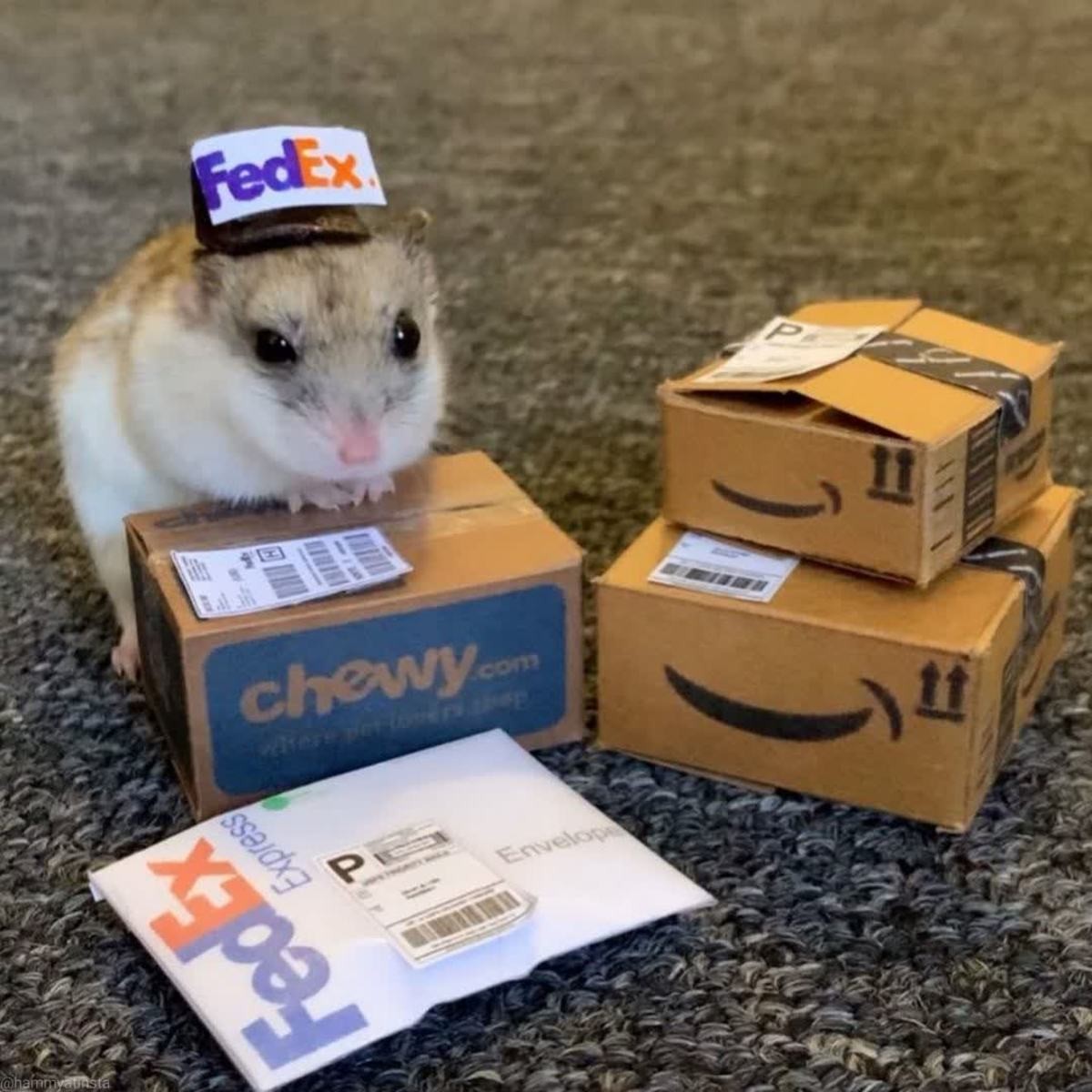 "i have a parcel for you, sir!"