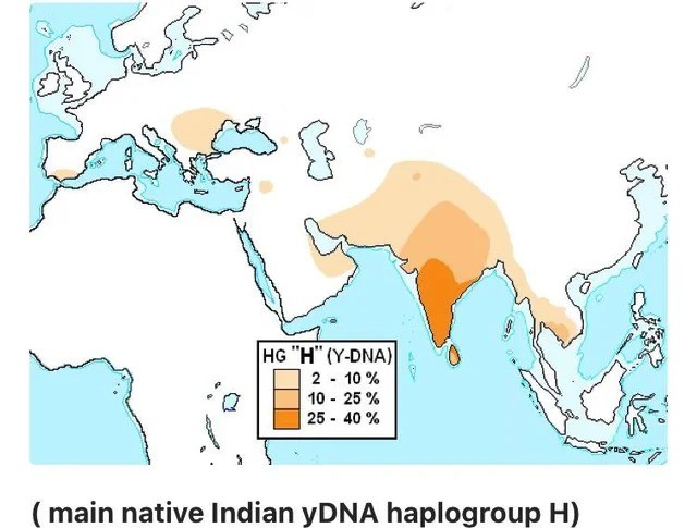 Indian DNA in europe
