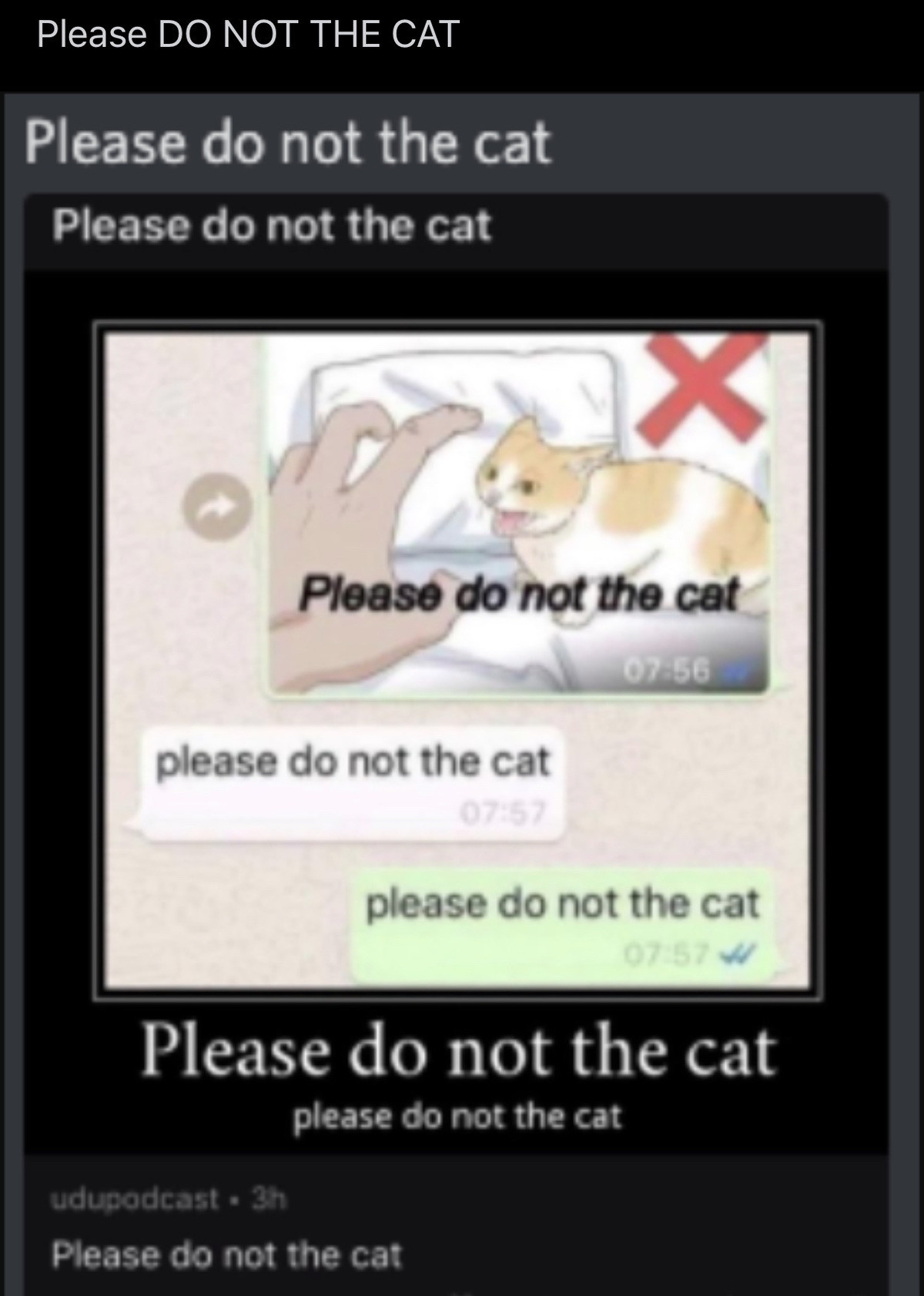 Please Do Not The Cat